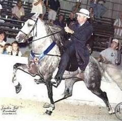 Events - Cooper Steel Arena